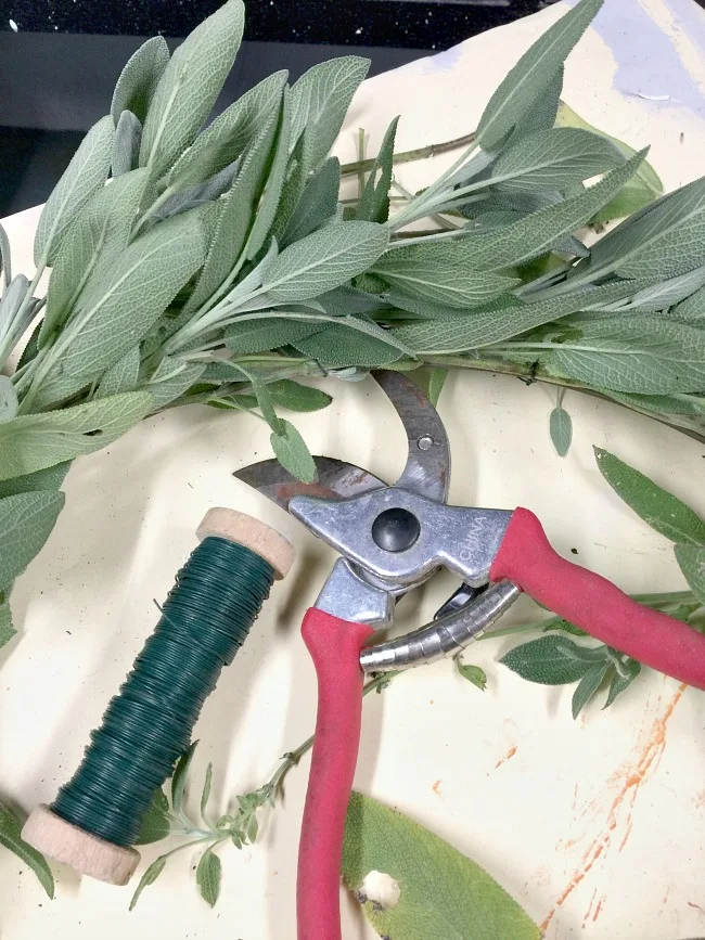 Harvesting Sage for a Beautiful Centerpiece