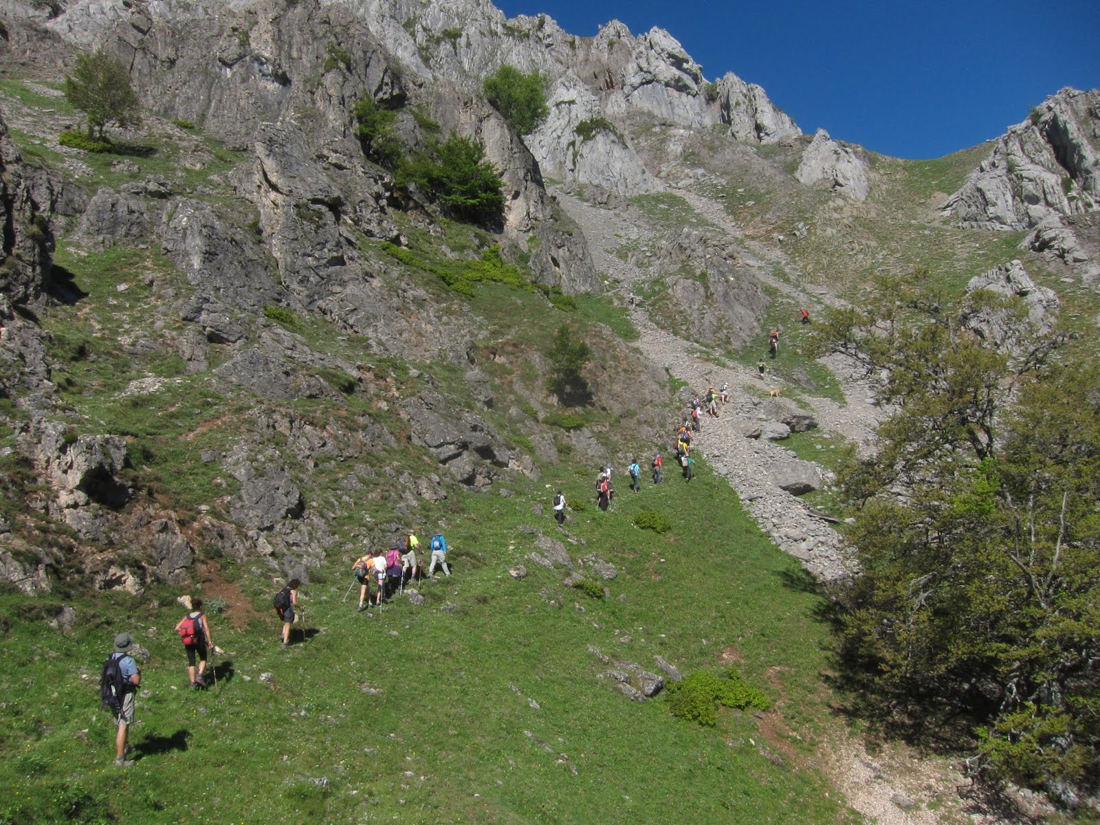 AVES PAISAJES Y VIAJES: REMOLINA - LA MUGA - LOS JANOS - REMOLINA (León).