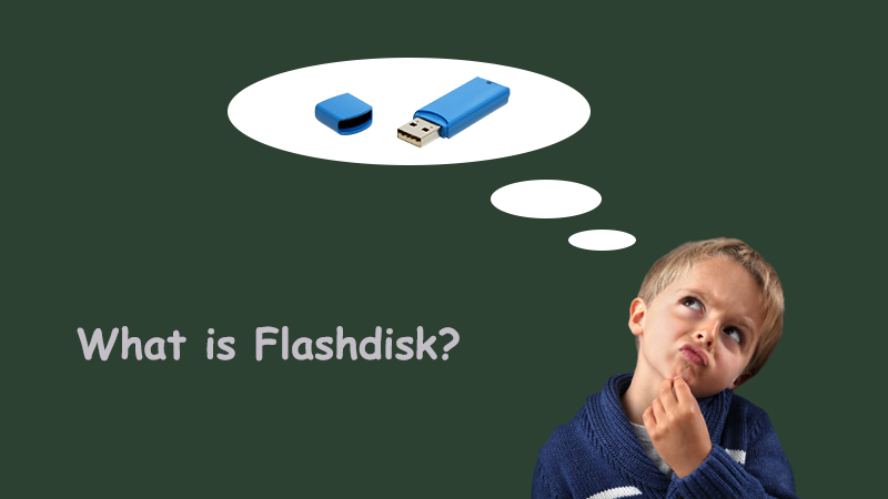 Penjelasan Lengkap Perangkat Penyimpanan Flashdisk - SHARE28S