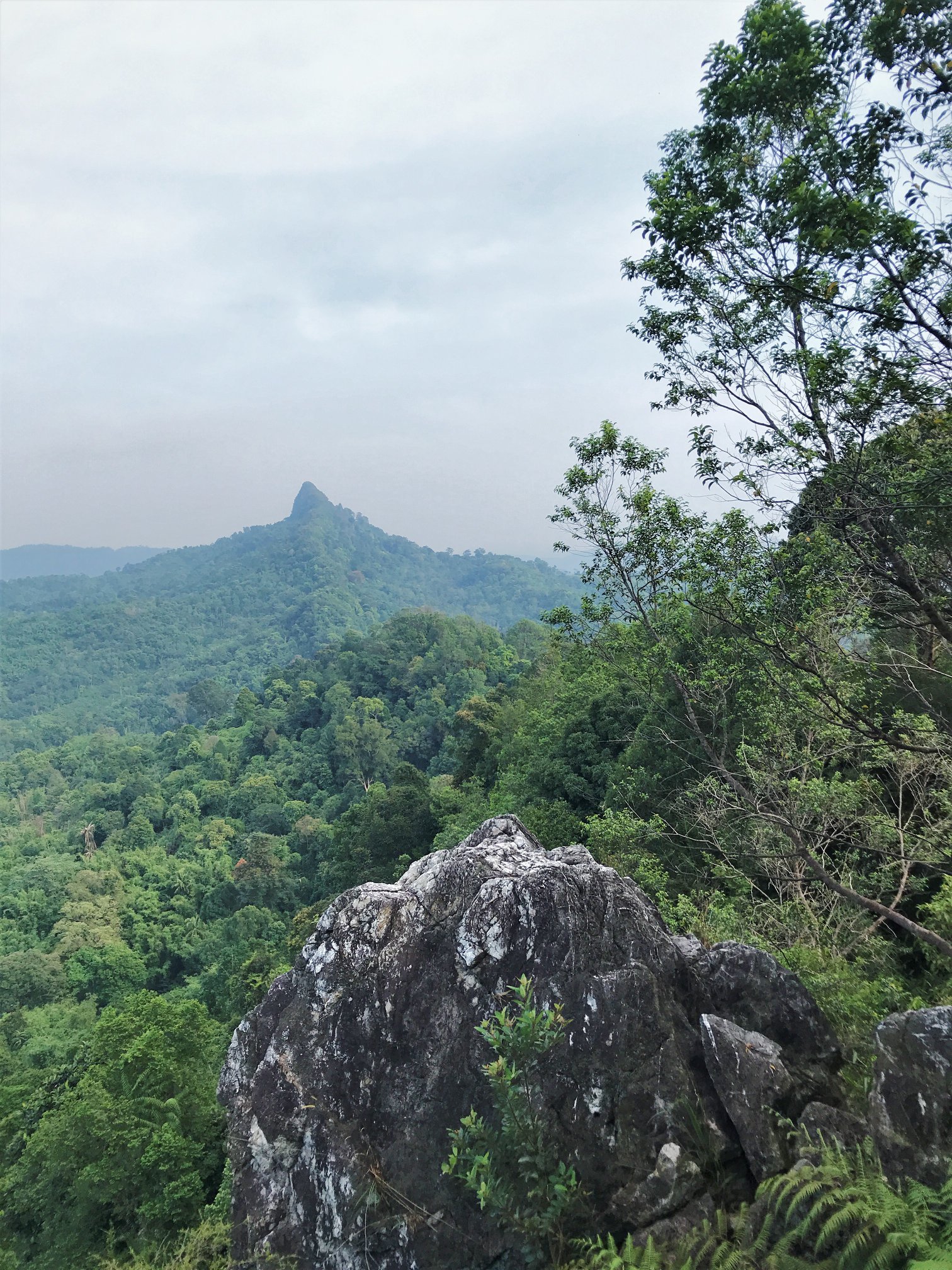 Bukit Batu Chondong – An Easy Scenic Hike (Update: Now A Prohibited ...
