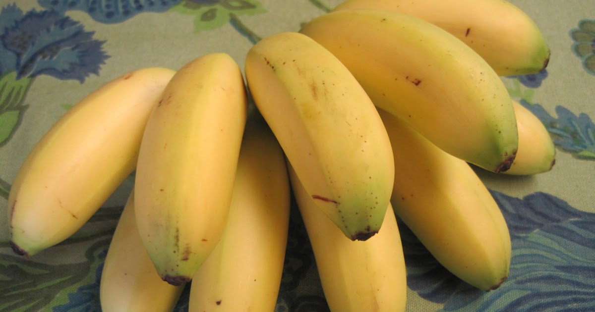 Mom's Cooking Help: Manzana Bananas: What Are They and How Do I Use Them?