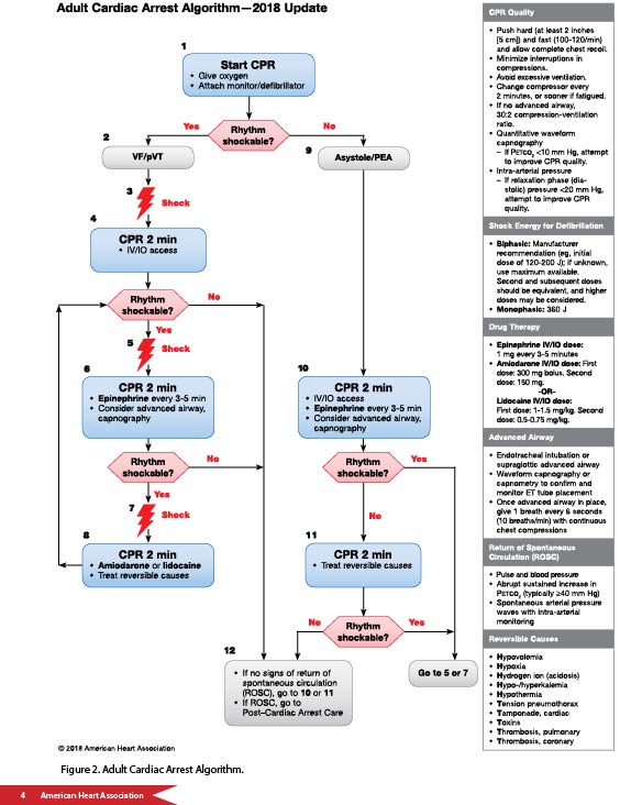 2015 AHA Guidelines Basic Life Support | Dokter Alfa : Belajar Kedokteran
