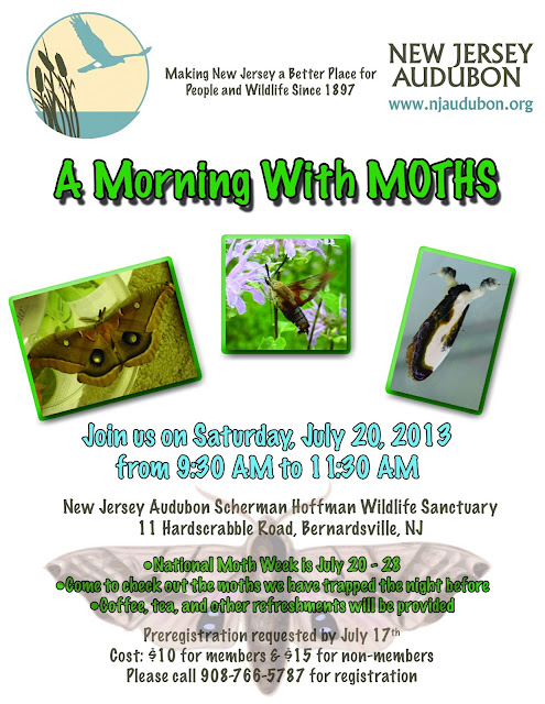 Scherman Hoffman Wildlife Sanctuary: National Moth Week