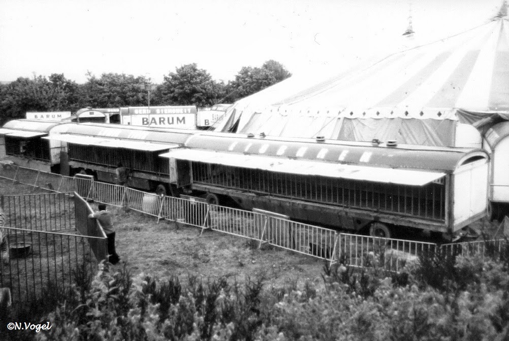 Norberts Internationale Circuswelt: Circus Barum 1988 in Springe