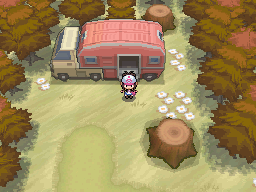 Turismo Pokémon: Rota 15, Marvelous Bridge, Rota 16 e Lostlorn Forest