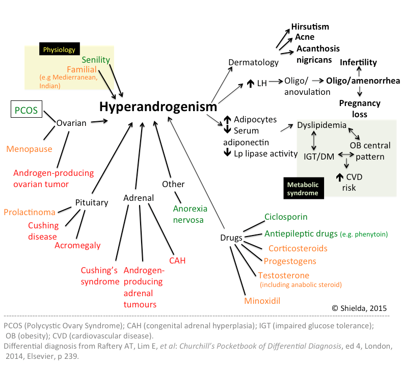 Strength is Never a Weakness: Discussion on Hyperandrogenism and the ...