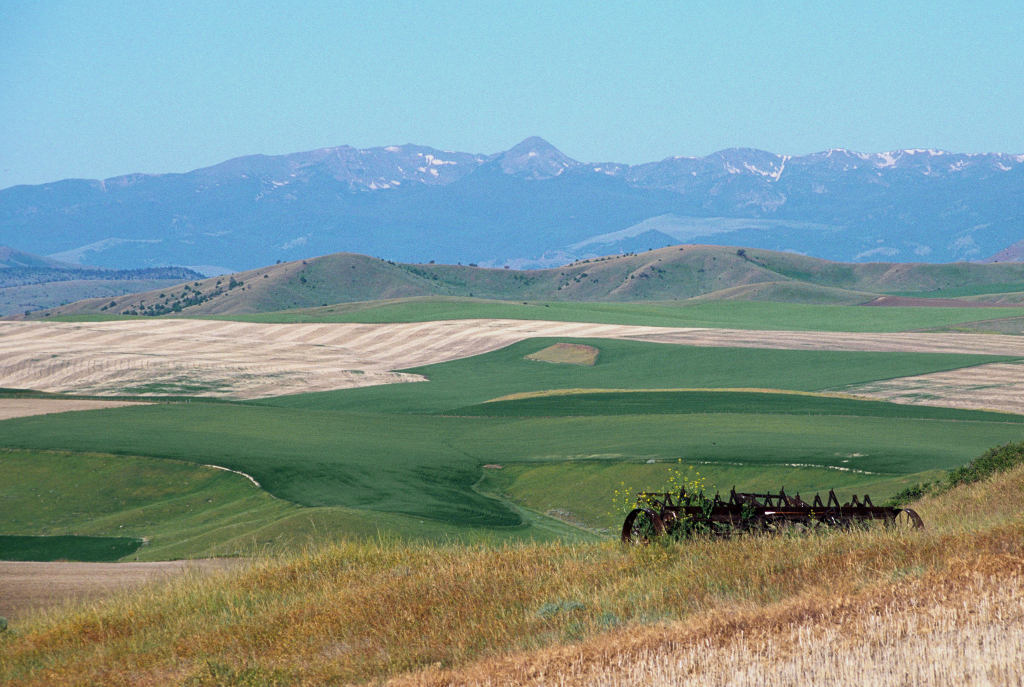 Travelers For Open Land | Stories and Updates: Gotta Love Montana Open Land