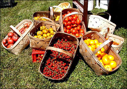 All in the Detail: it is 108 degrees...