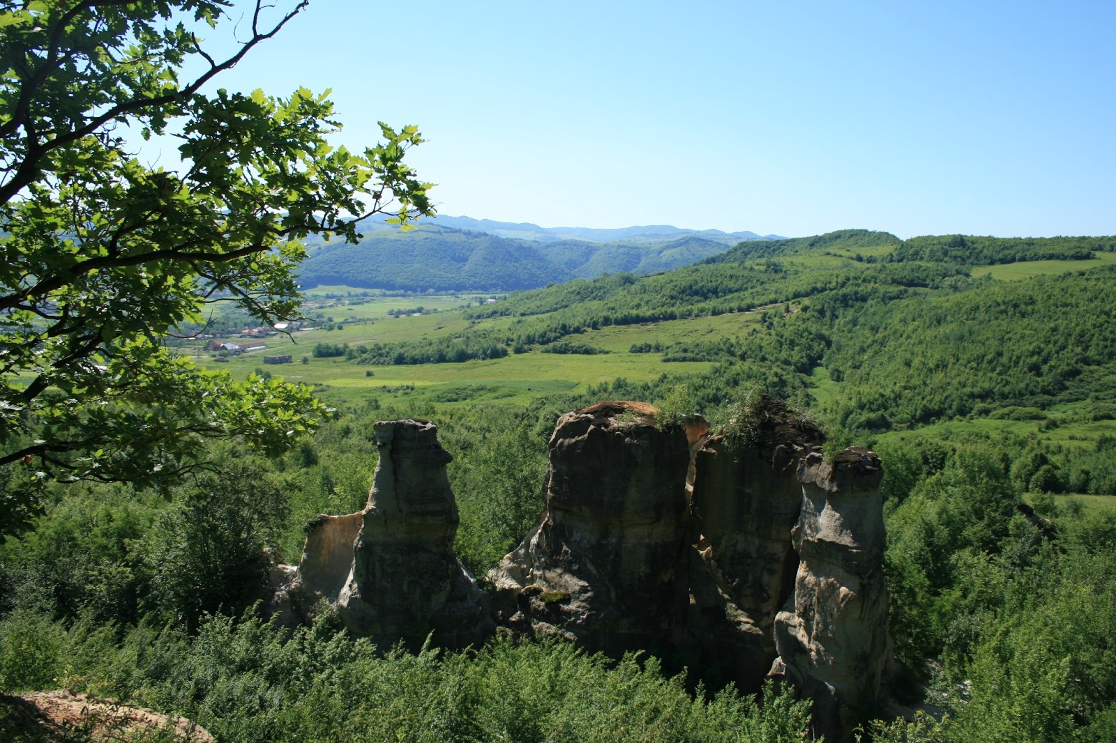 Revelatii de cafenea: Gradina Zmeilor si operatiunea "Capusa"