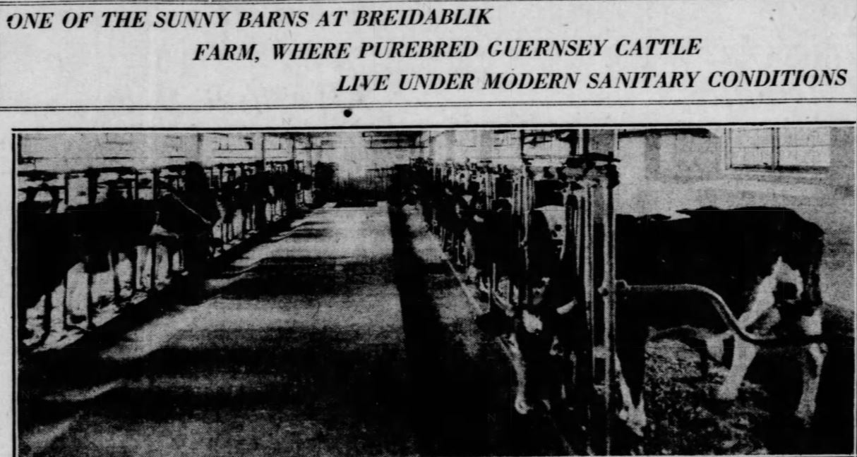 The Mill Creek Hundred History Blog: Oak Hill Farm, aka Breidablik