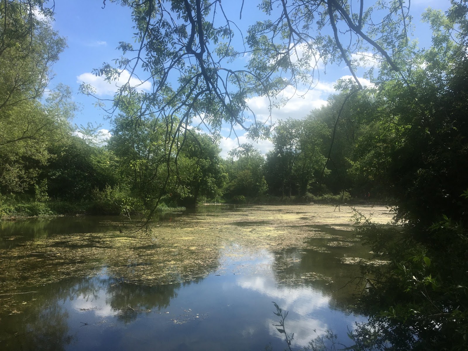 Bicester to Trow Pools