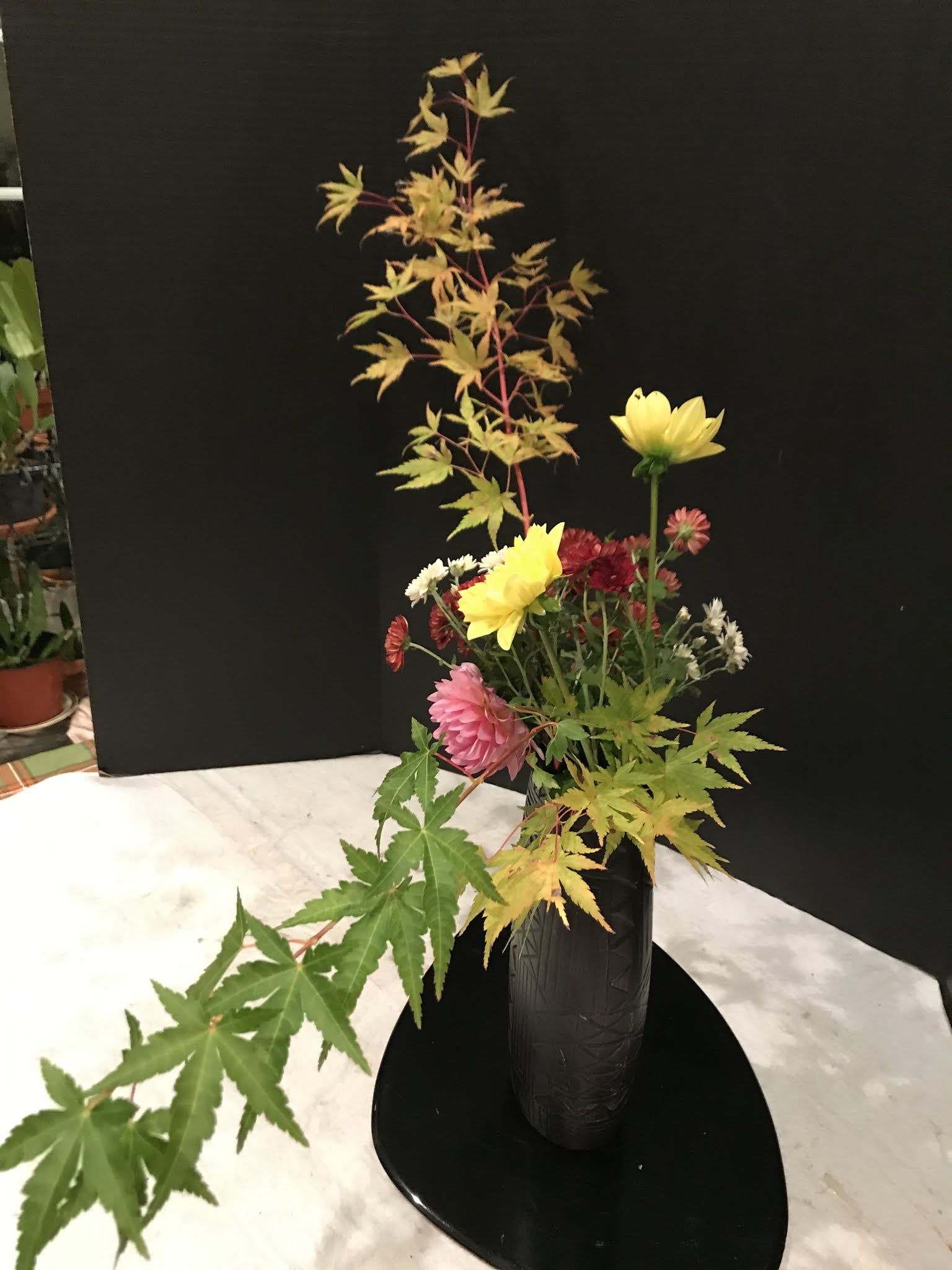 Orchids and Ikebana: Basic Slanting Style Variation #2 Nageire - Zoom Class