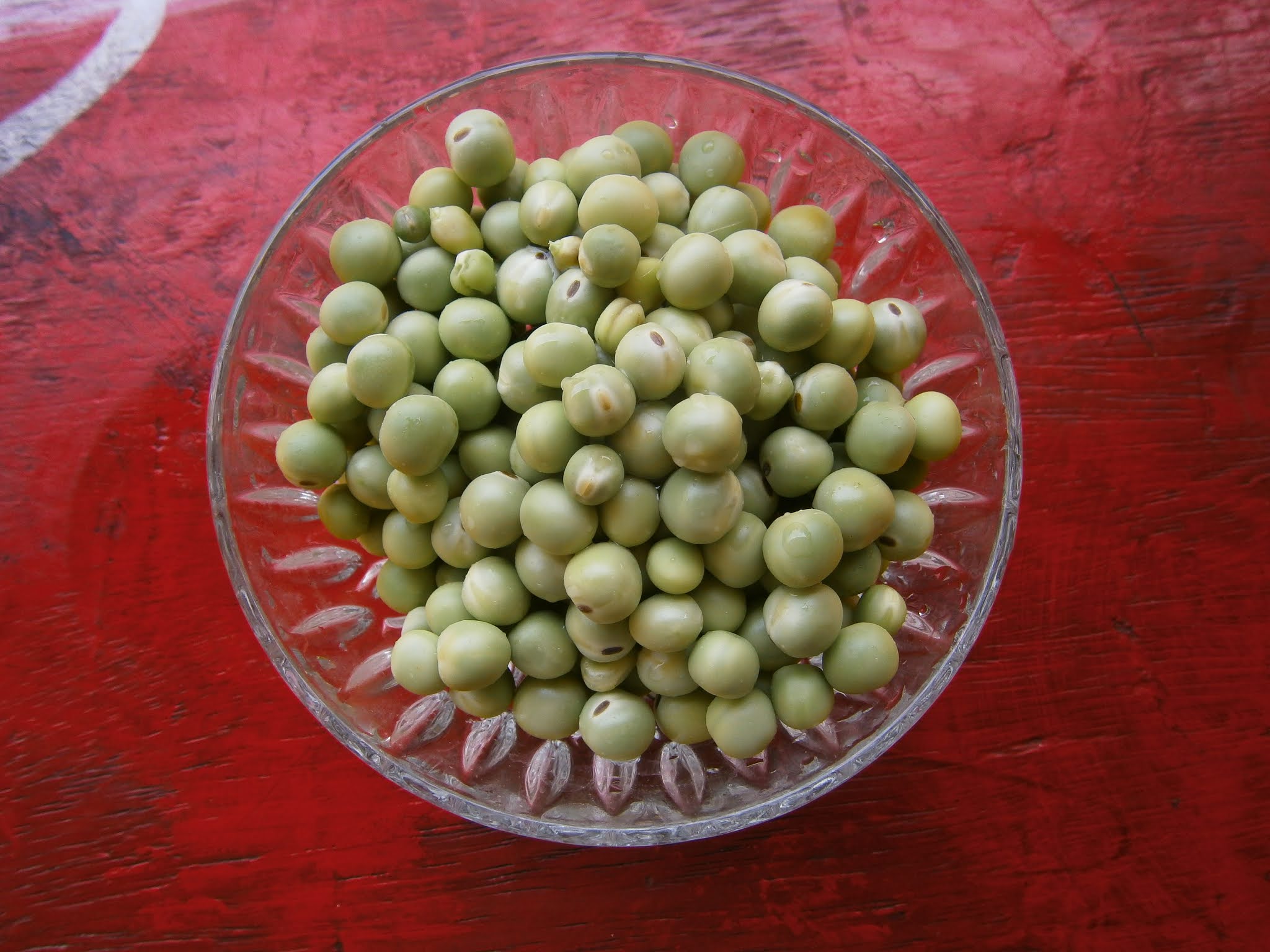 Propiedades de la arveja