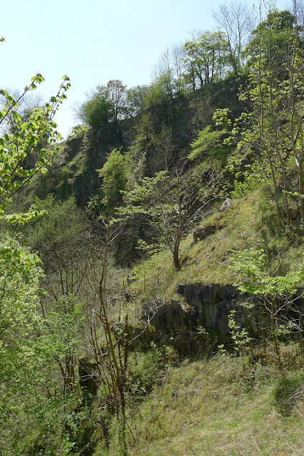 Mines and minerals in Derbyshire (UK): Milltown Quarry
