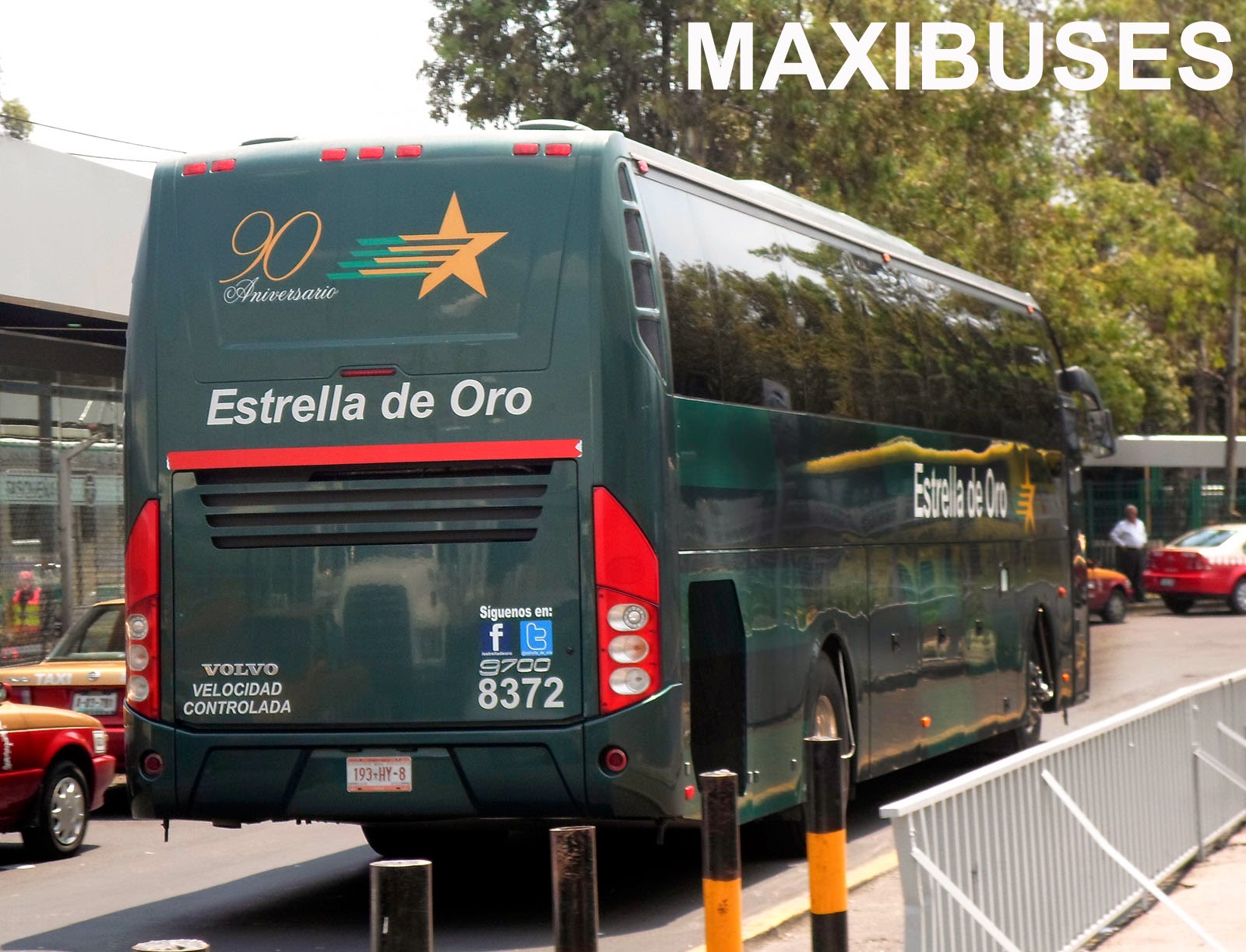 MAXIBUSES: ESTRELLA DE ORO PLUSS
