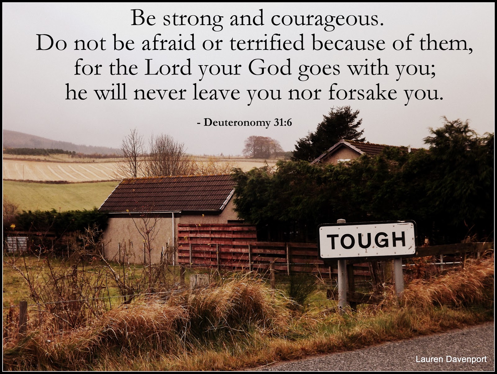 MANUFACTURER'S HANDBOOK: GIVE ME THE COURAGE OF DANIEL