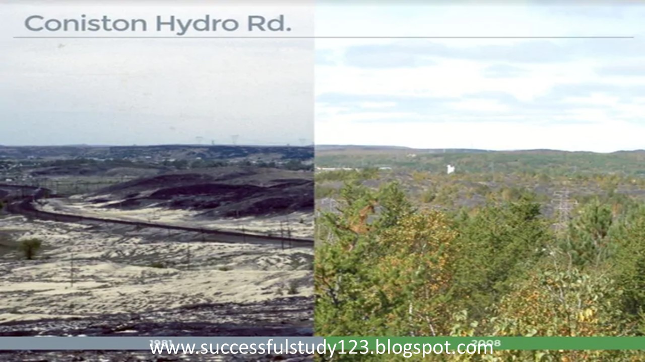 What to do in case of acid rain