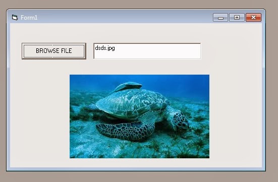 Membuat penampil gambar di visual basic 6.0 - newbie pc