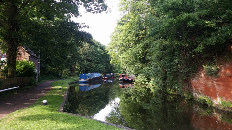 Lucy's Wednesday walks: Kidderminster to Wolverley along the canal - part 2