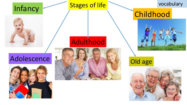EOI B2.2 BLOG: LIFE STAGES