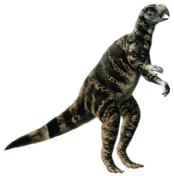 LOS DINOSAURIOS DE MANU: PSITACOSAURUS