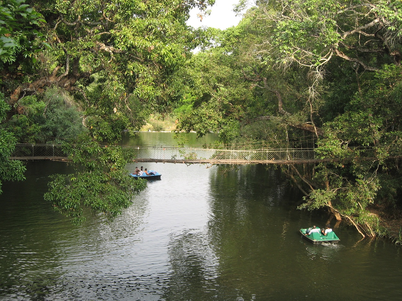 Coorg Nisargadhama Forest - Photographs