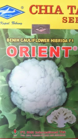 Toko Pertanian Terdekat | Lmga Agro: Manfaat Kembang Kol, Sayuran Kaya ...