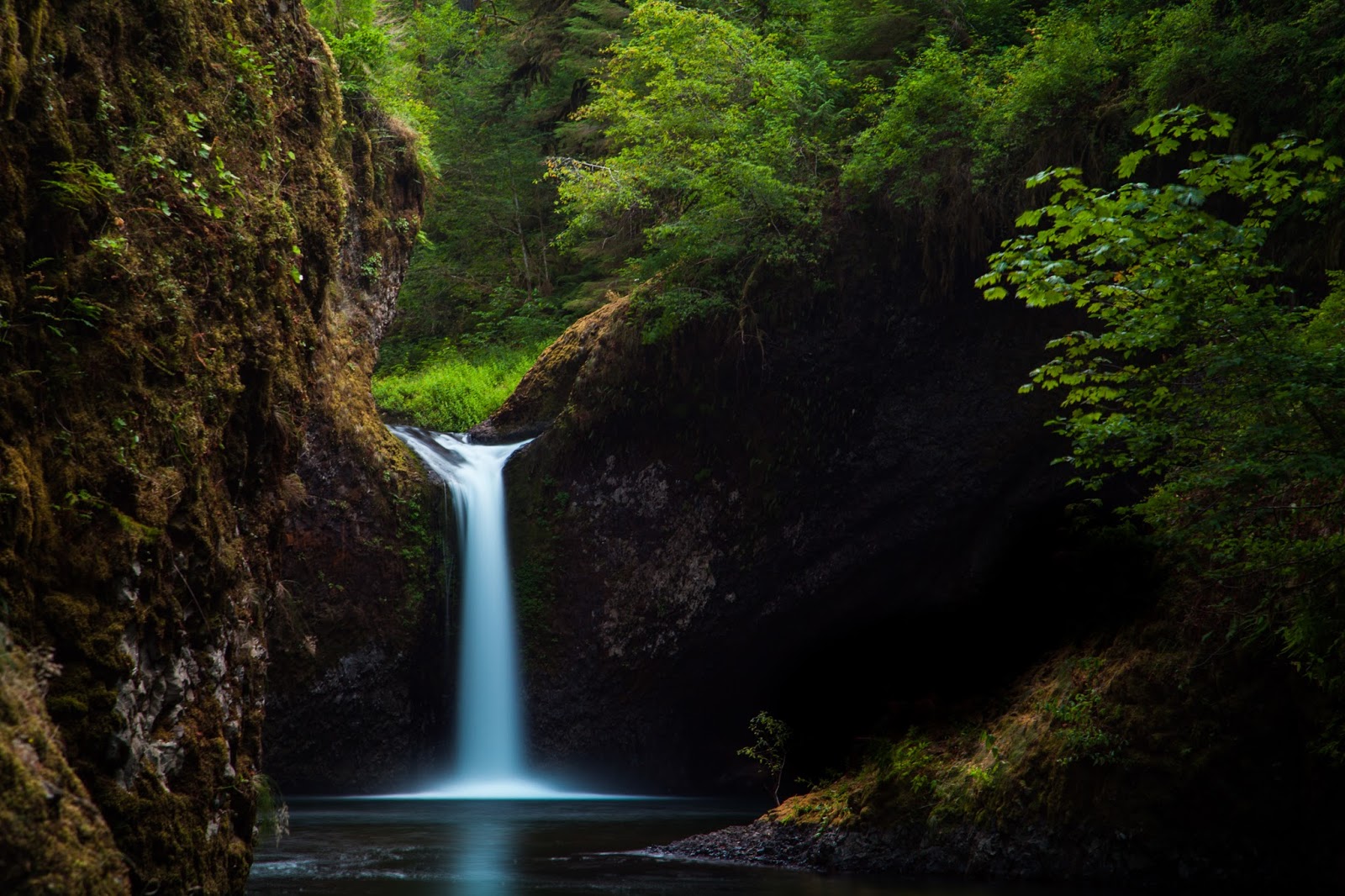 CHIMERAS: Waterscapes