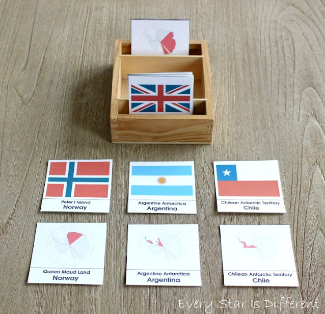 Montessori Antarctica Activities for Kids with Free Printables - Every ...