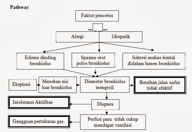 LAPORAN PENDAHULUAN ASMA