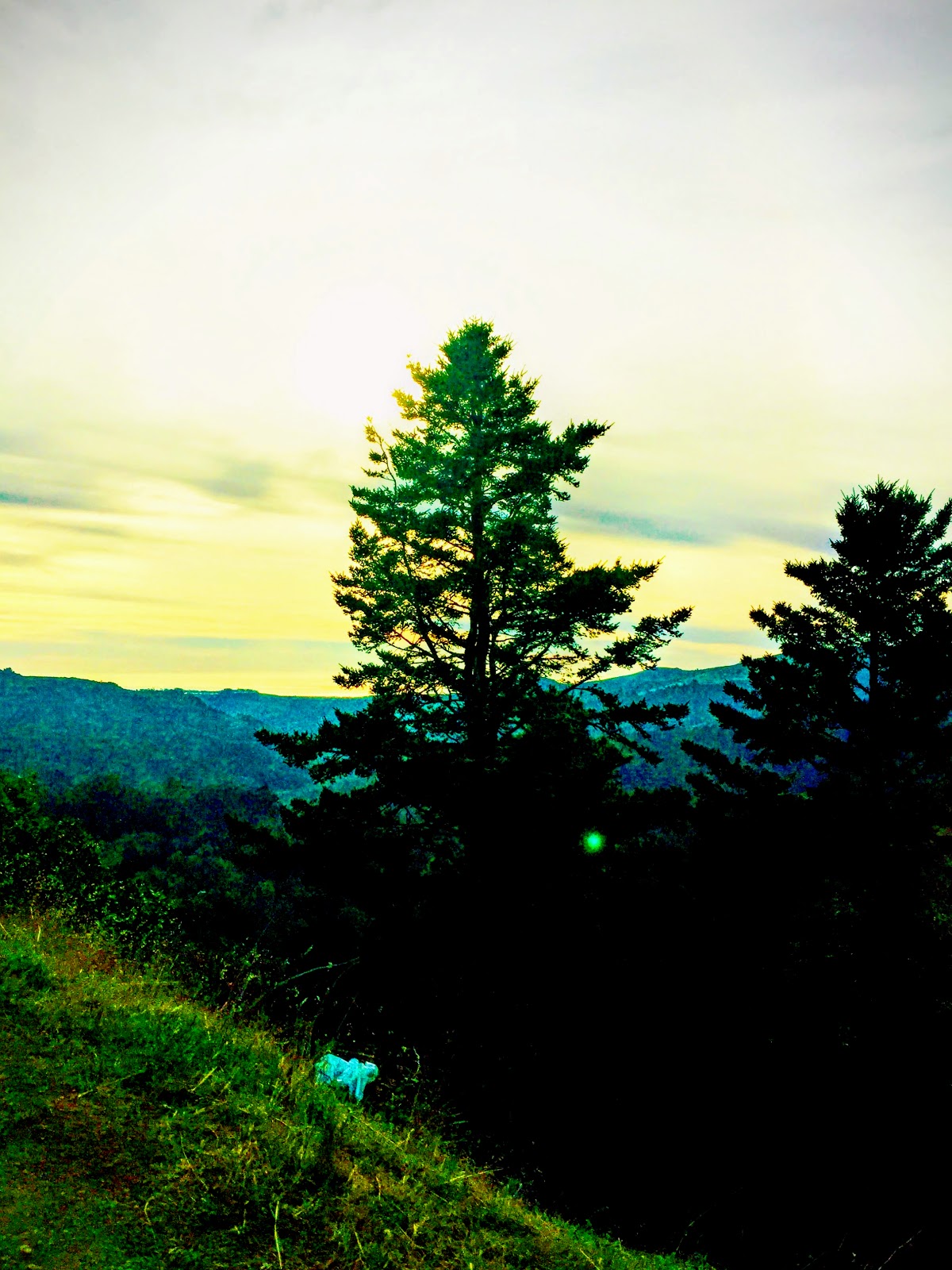 Adwitter: Photography: How to Take a Good Photograph