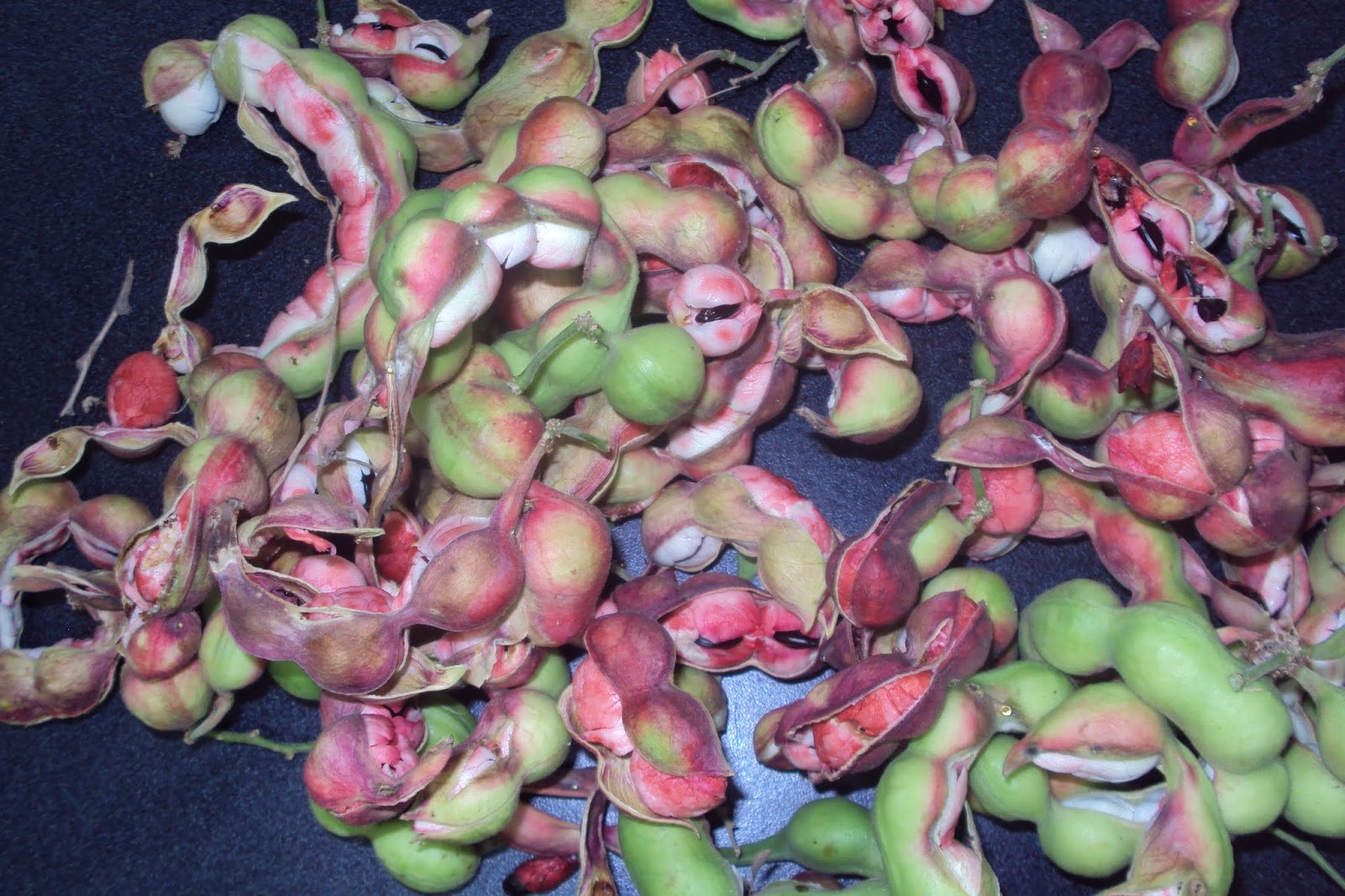 Ian Jacobs' Mexico and other matters: To fry or not to fry? Food as ...