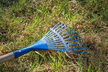 Garden and Yard: How to Rake Your Lawn without Damaging the Grass