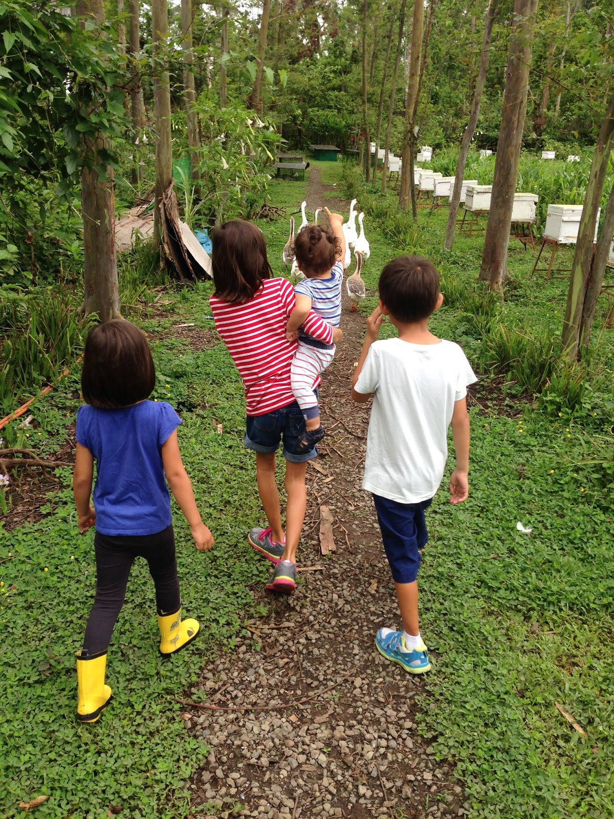 Kids more fun in the Philippines.: Things to do in Silang, Cavite with kids