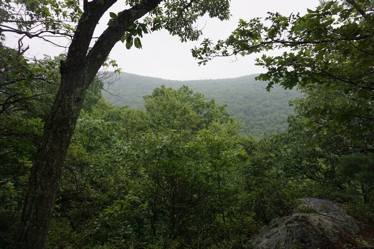 Harriman Hiker: Harriman State Park and Beyond: Wildcat Mountain Rainy Day