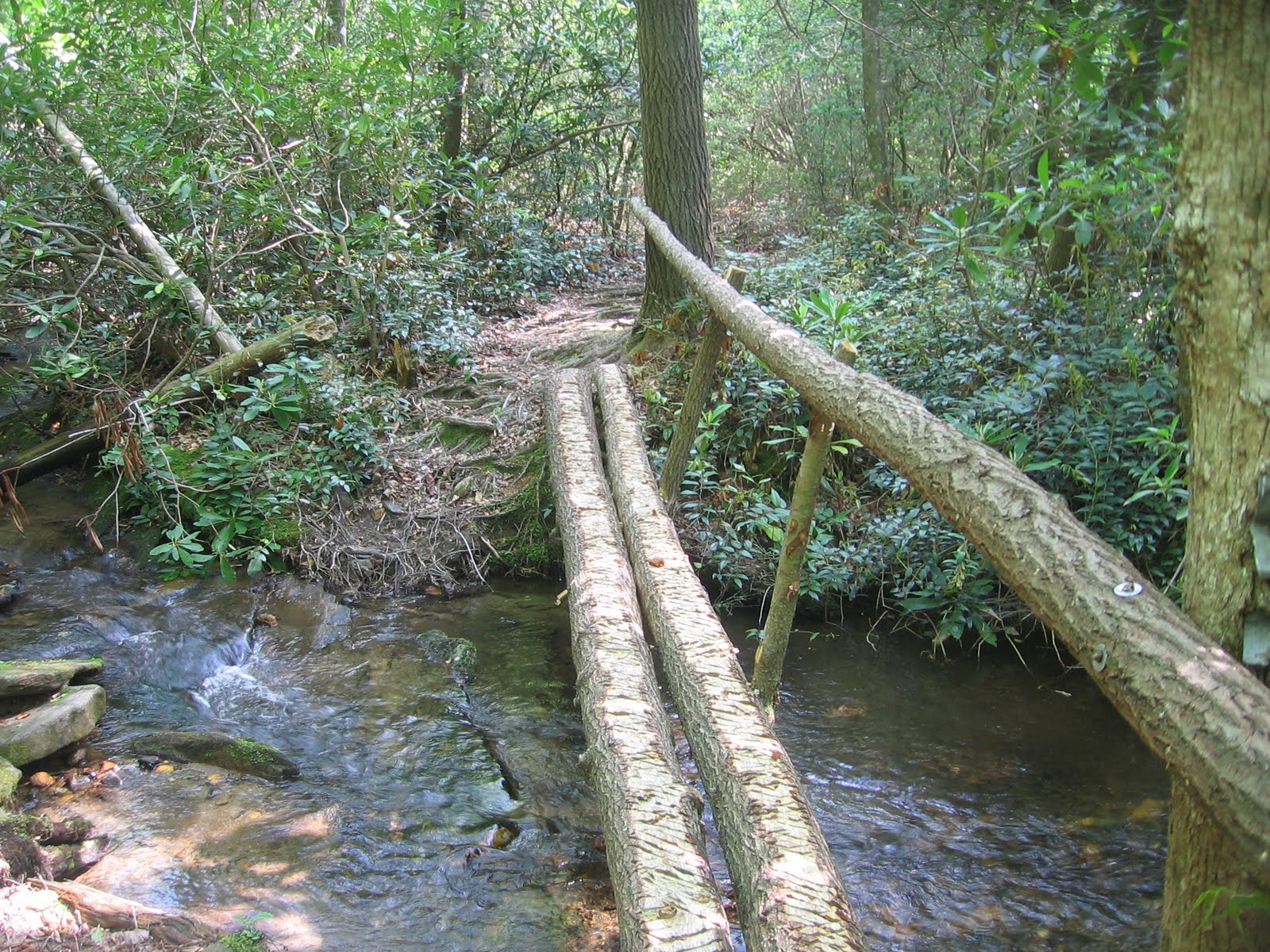 Relaxed Hiking NC: Cove Creek and Caney Bottom Loop Hike 5/21/2011