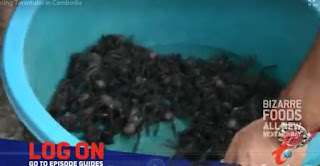 Street Food Collection: Fried Tarantulas in Cambodia