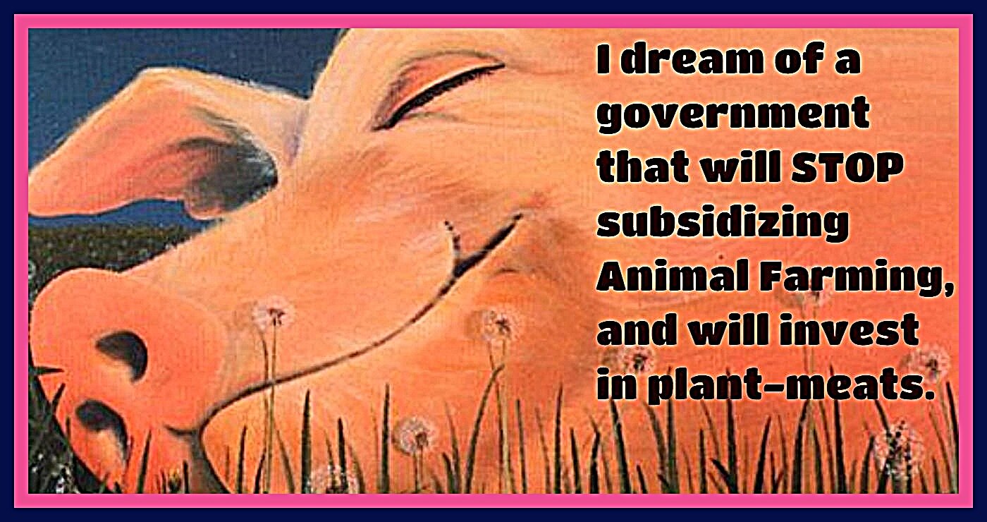 VEGANISM: A TRUTH WHOSE TIME HAS COME: 100 Vegan & Animal Rights Memes ...