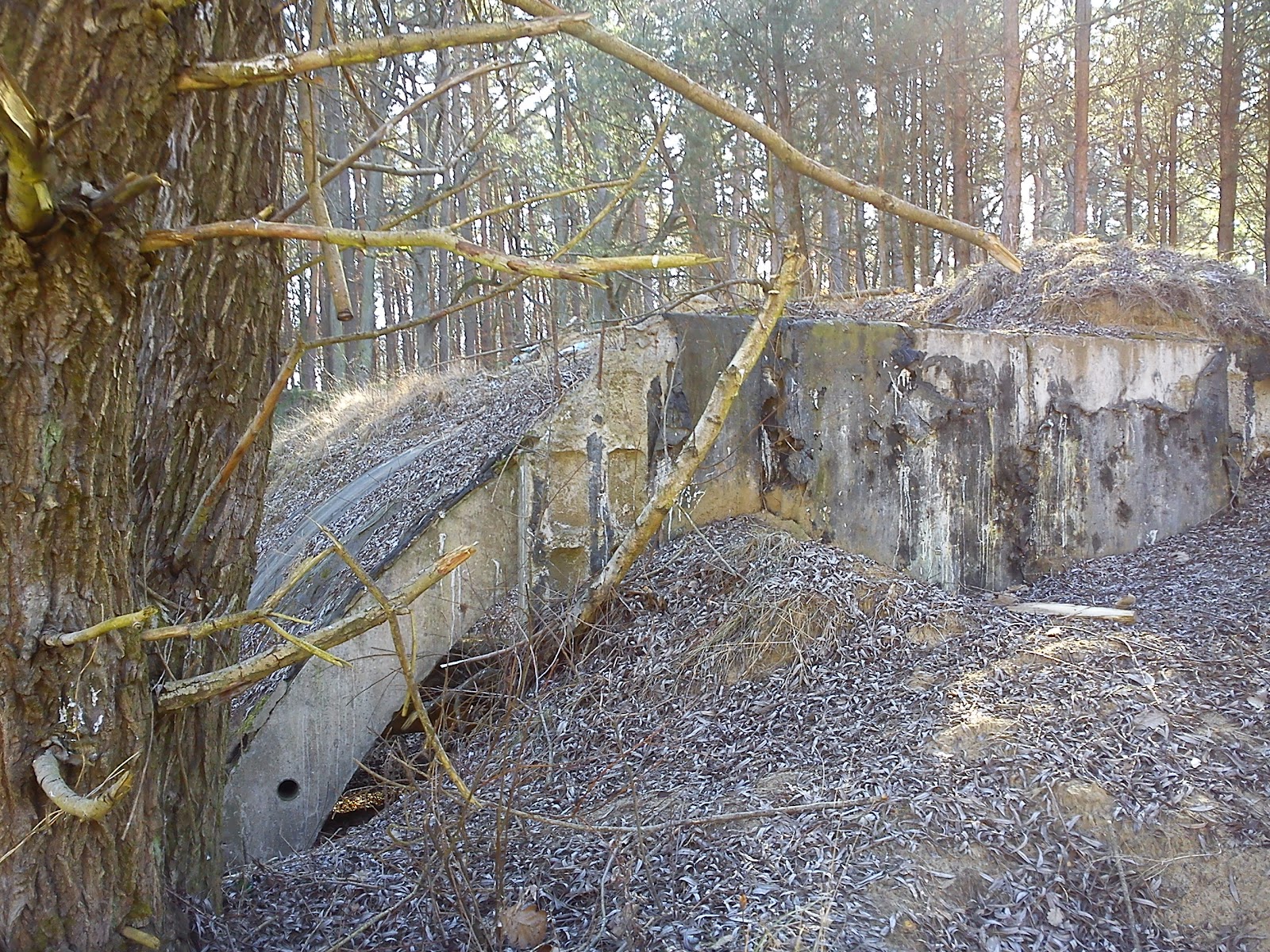 szczecinianka: Lapidarium Radziszewo, Ruiny Tartaku i Młyna nad Omulną ...