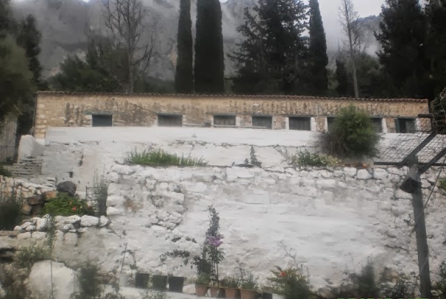 Κατούνα Νέα Ειδήσεις: ΑΦΙΕΡΩΜΑ: Ο ΑΓΙΟΣ ΔΗΜΗΤΡΙΟΣ ΠΑΛΑΙΡΟΥ ΚΑΙ Η ...