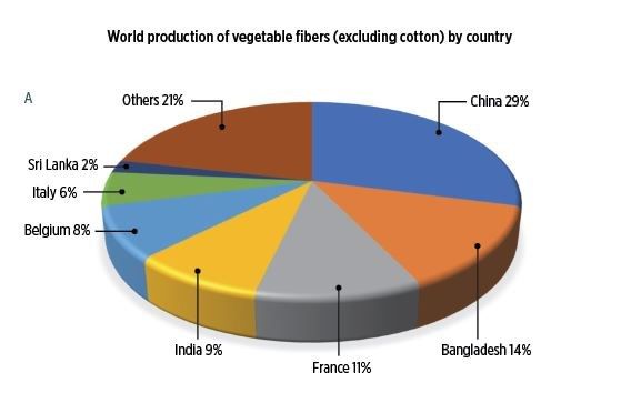 Which countries lead the global production of natural fibers? 👀