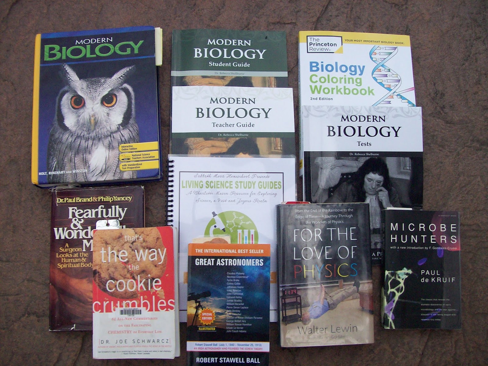 Modern Biology Textbook Online