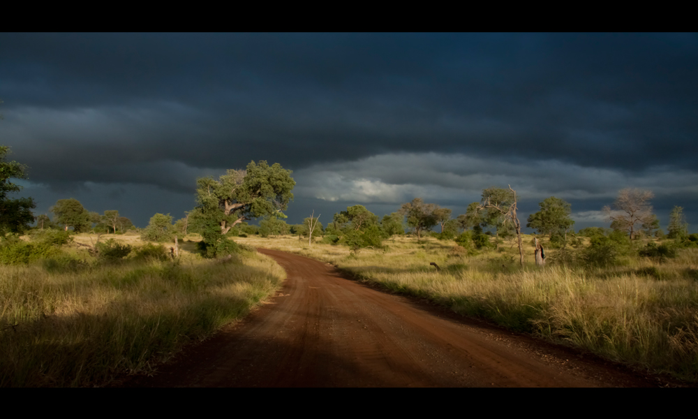 Nicole's Digital Photo Blog: Types of Perspective in Photography