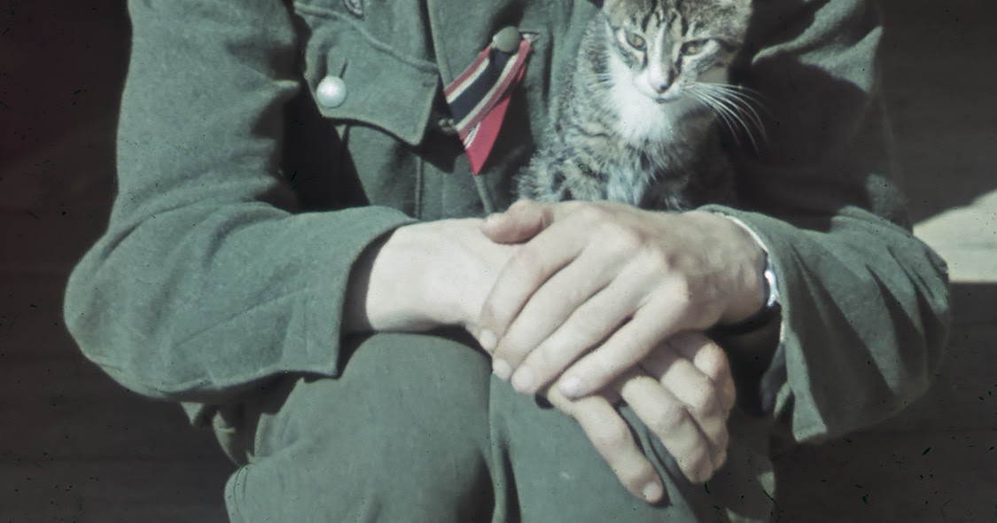 World War II in Color: German Soldier with a Cat