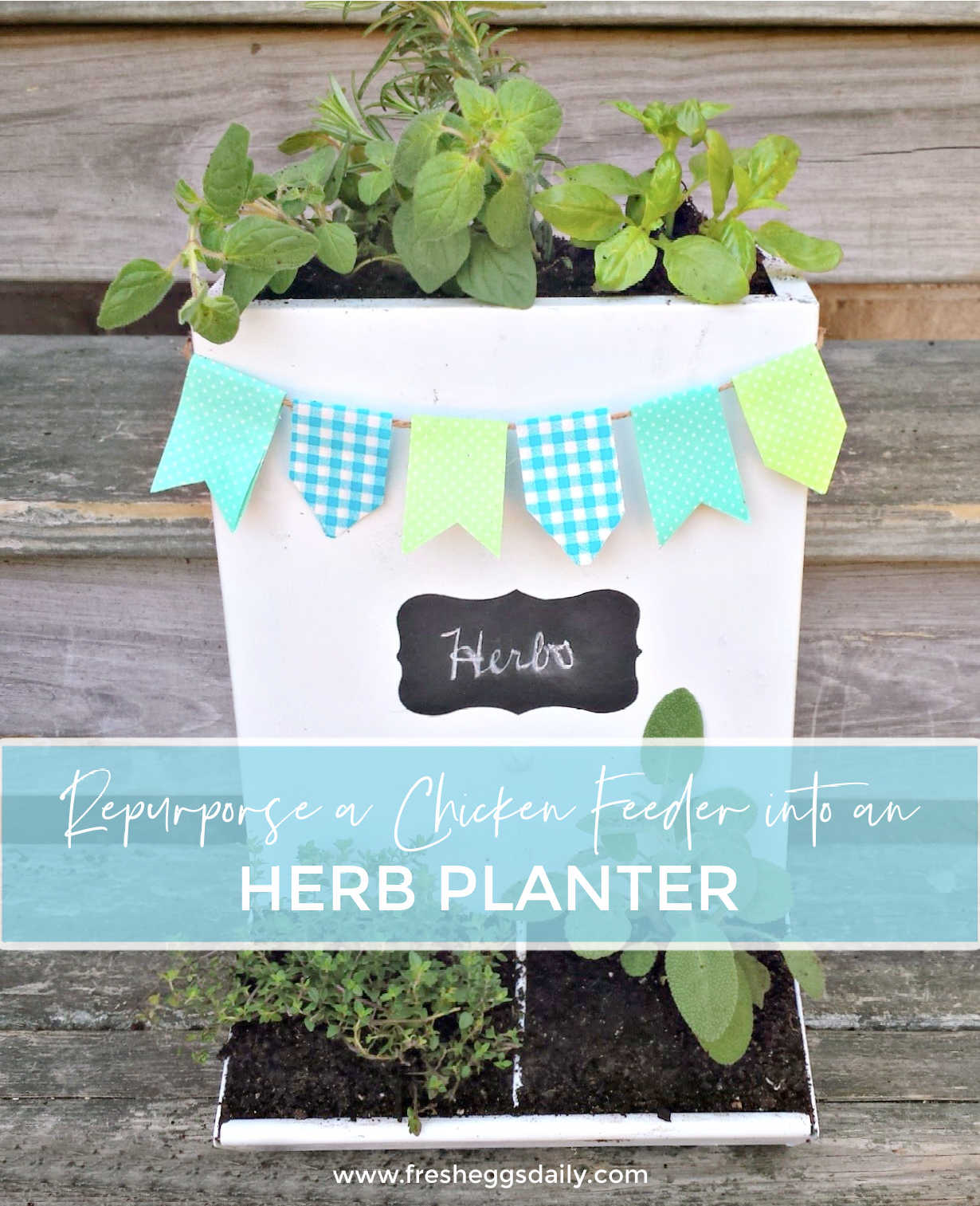 Repurpose a Metal Chicken Feeder into an Herb Planter - Fresh Eggs ...