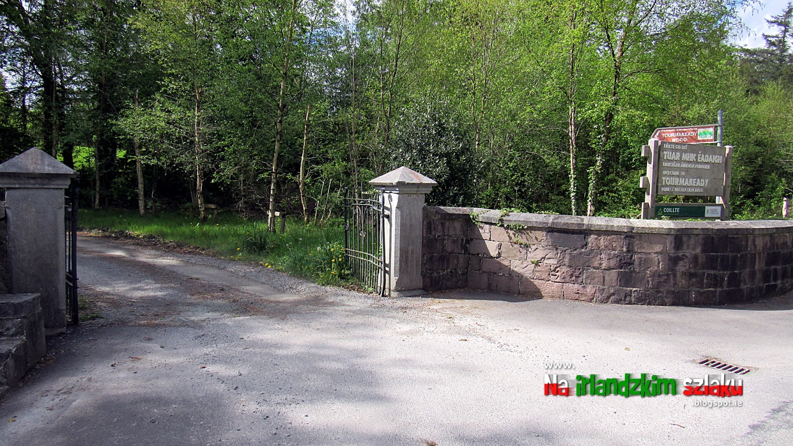 NA IRLANDZKIM SZLAKU - PRZEWODNIK DLA KAŻDEGO: Tourmakeady Wood, Co. Mayo