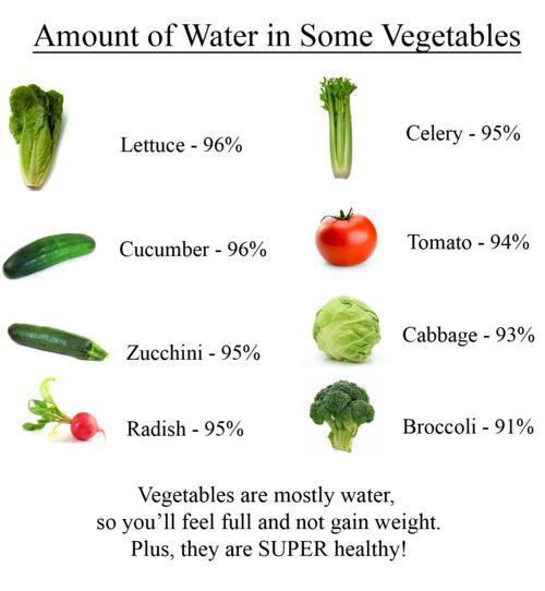 In Search of Natural Health: Hydrating at the Cellular Level