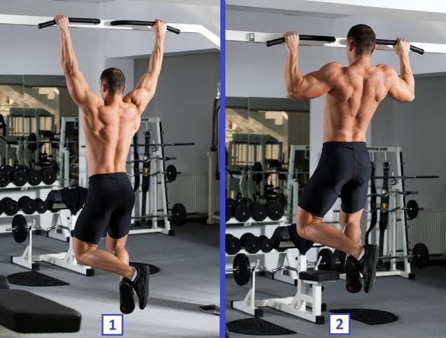 10 Best Muscle-Building Back Exercises