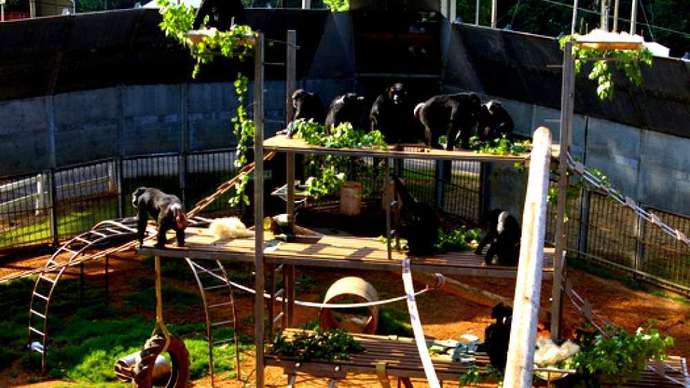 Yerkes National Primate Research Center