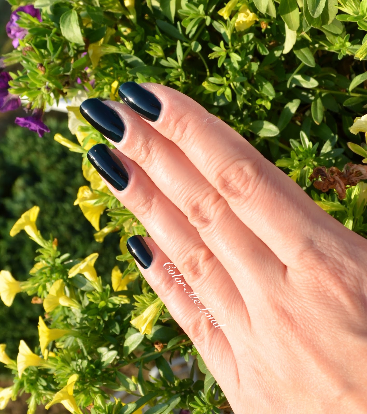 Chanel Le Vernis #669 Chataigne, #671 Ecorce Sanguine, #679 Vert Obscur ...